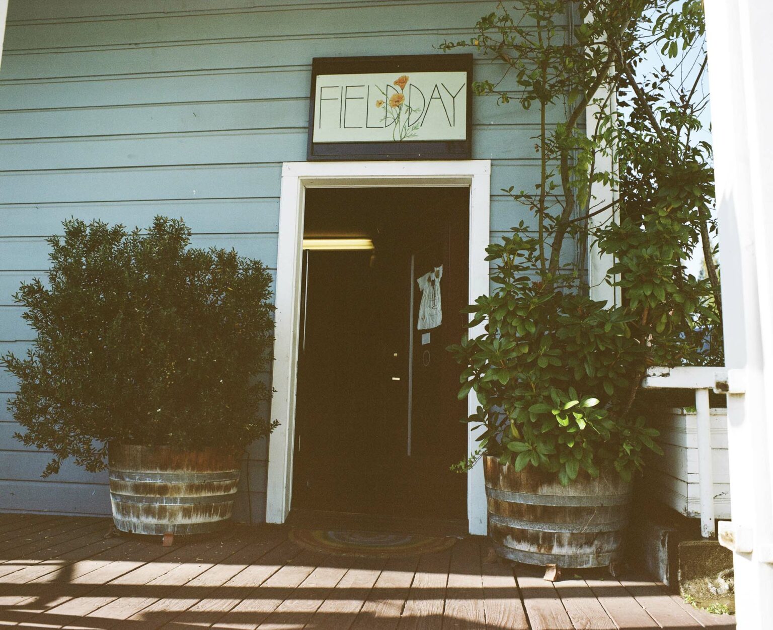 Field day, California – momo-mag